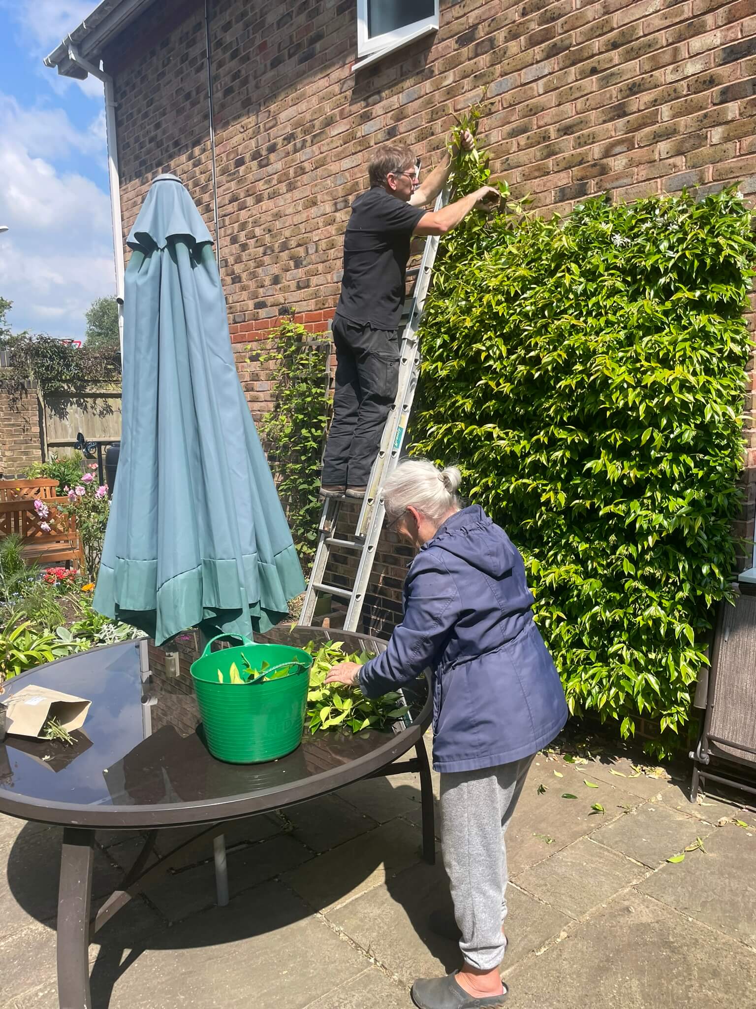 Supported living | Beehive Care